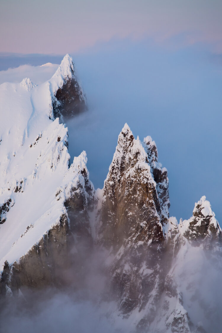 Profile - Knighthead Capital Management